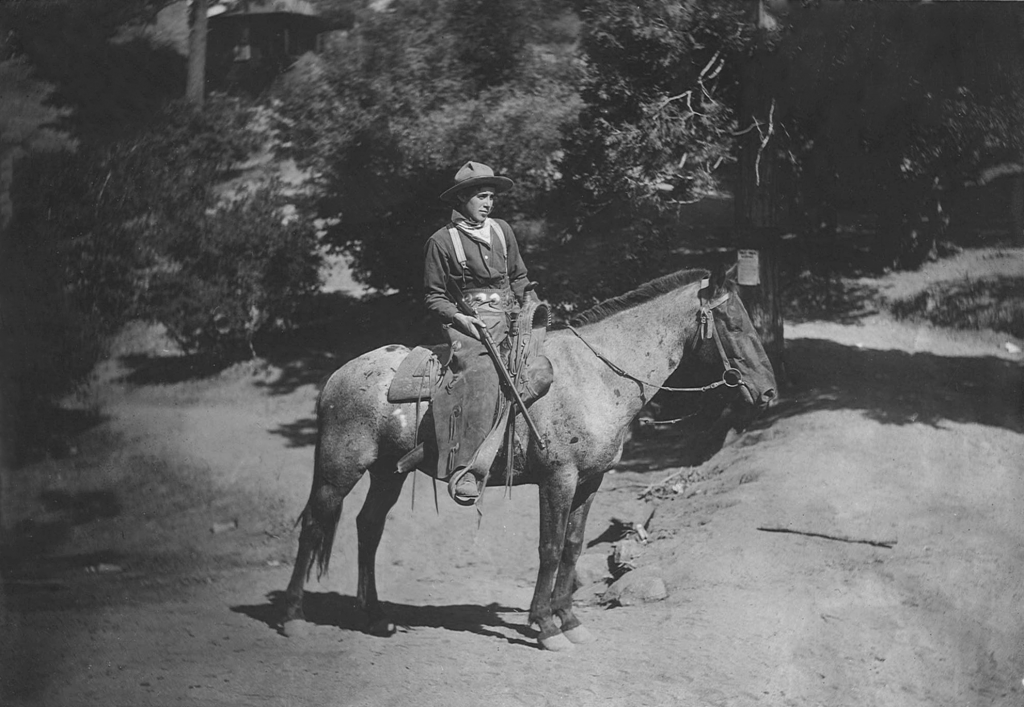 Muleskinner Productions | The Cowboy Astronomer: A Documentary by David ...